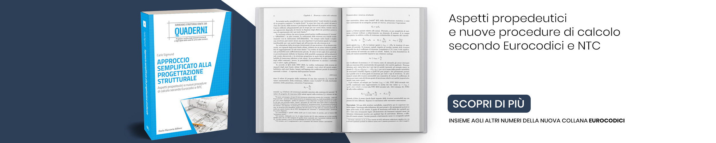 Dario Flaccovio Editore - Dario Flaccovio Editore